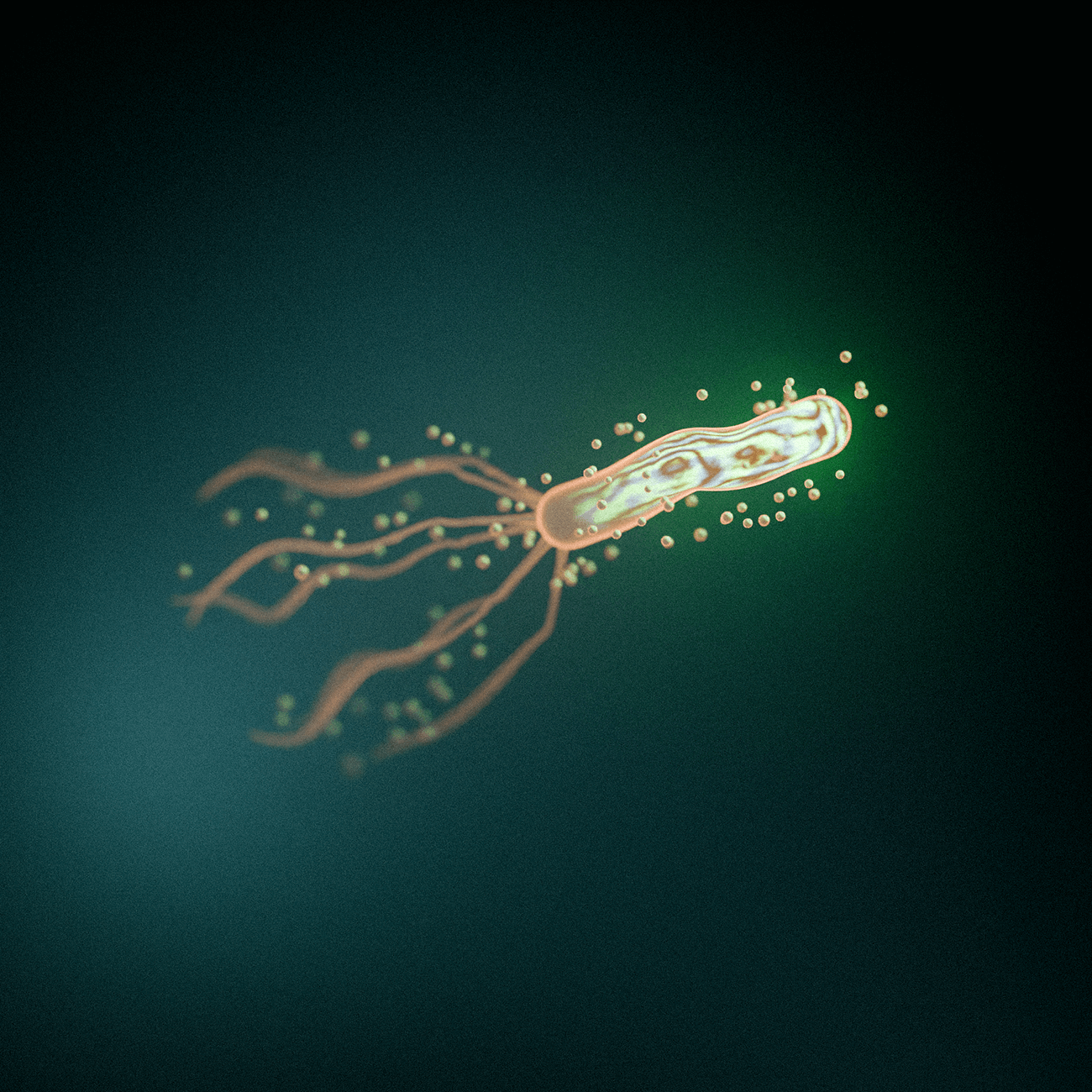 Helicobacter Pylori 3D Illustration - colorparticle